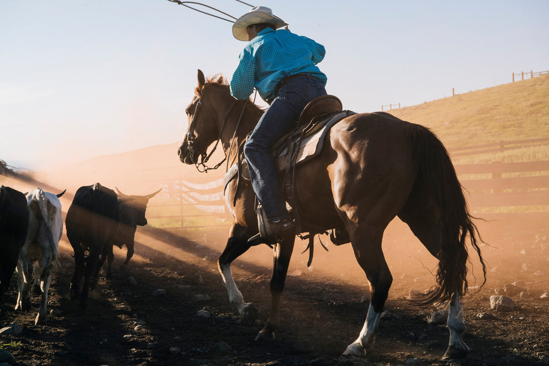 Work Saddles – Fabtron